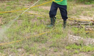 The Science Behind Selecting the Right Lawn Weed Killer for Your Soil ...